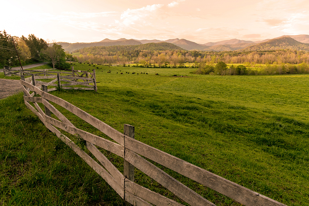 Event Spaces - Warren Wilson College