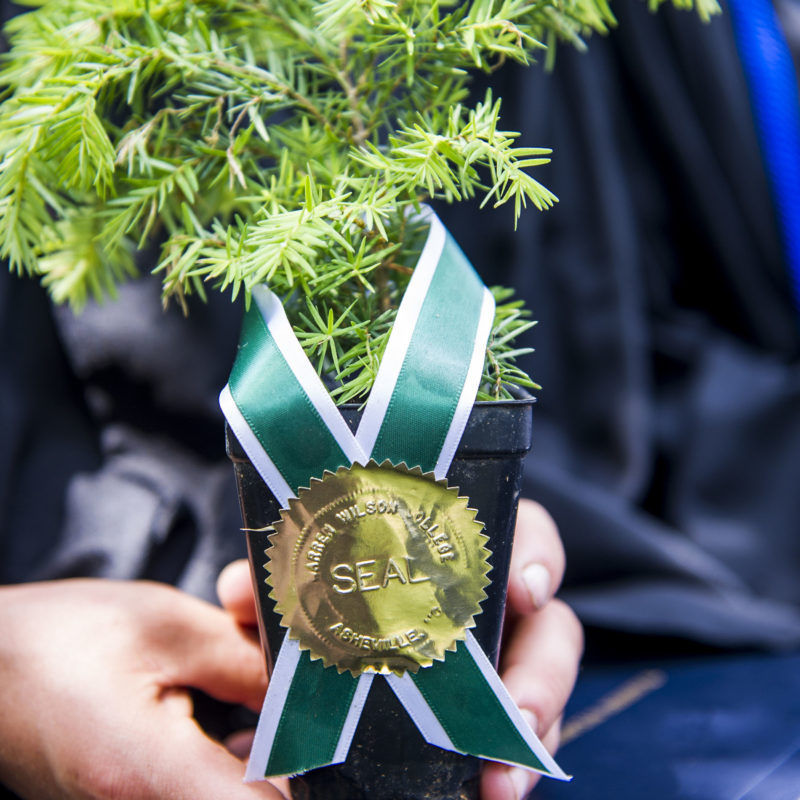 Warren Wilson College - Home - Warren Wilson College