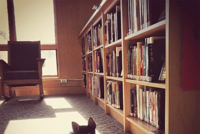 Library Crew - Warren Wilson College