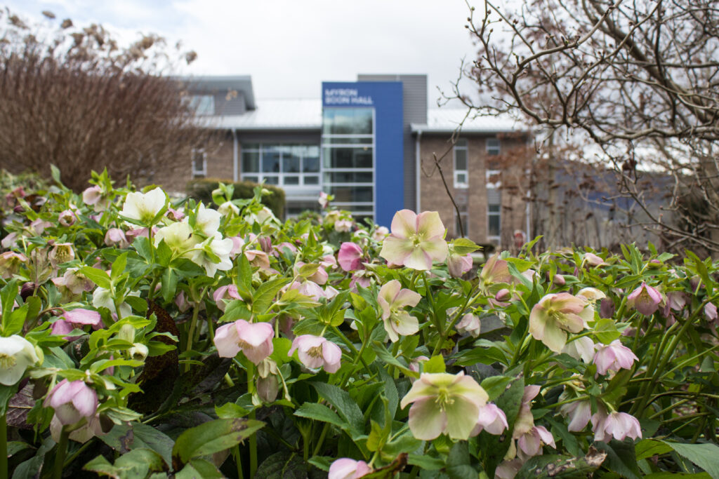 Athletics & Fitness - Warren Wilson College
